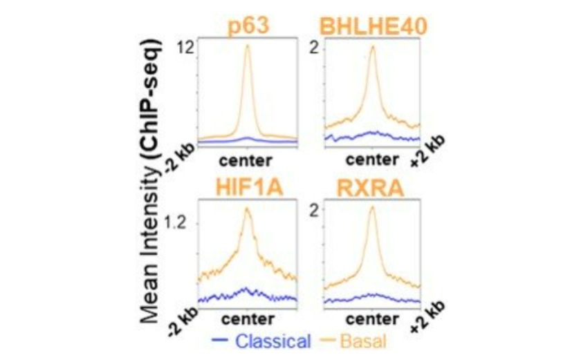 Molecular Cancer Epigenetics | RBCT