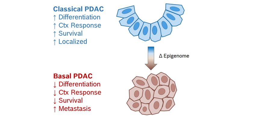 Molecular Cancer Epigenetics | RBCT