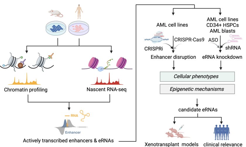 Cancer Functional Epigenomics | RBCT