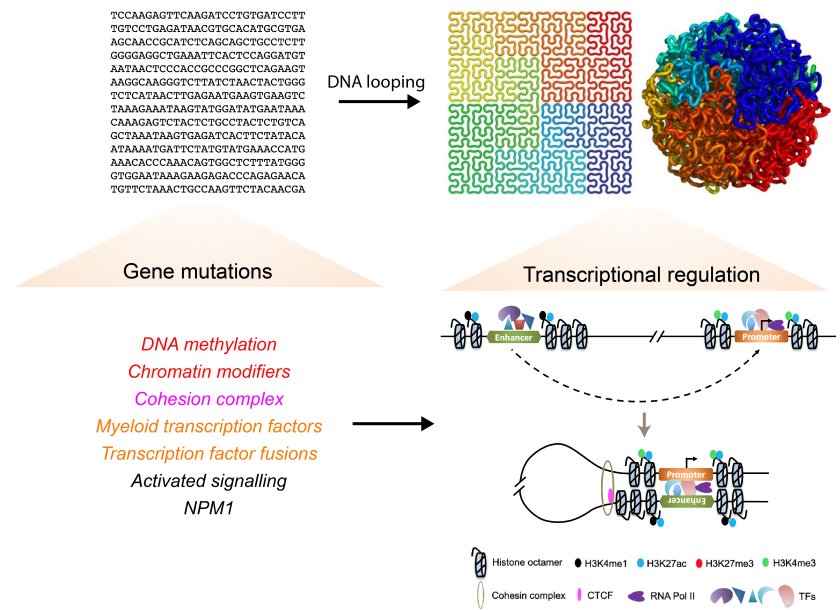 Cancer Functional Epigenomics | RBCT