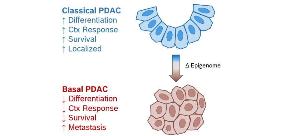 Molecular Cancer Epigenetics | RBCT