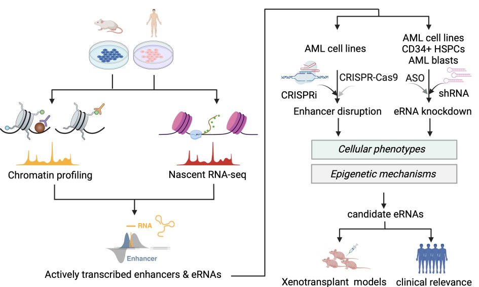 Cancer Functional Epigenomics | RBCT
